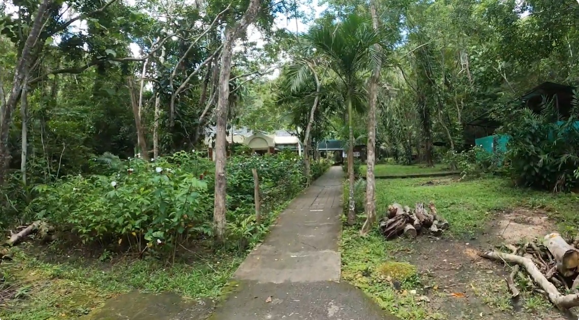 Philippine Tarsier Sanctuary, Bahol: Home of the World’s Smallest Primates
